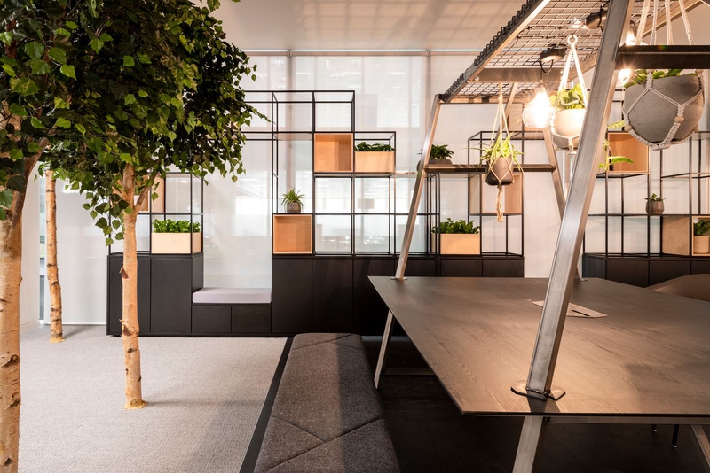 Spacestor | Organic Forms and Natural Shapes in Workplace Design