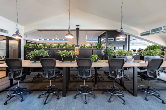 Spacestor | Workspace Of The Week - Akcelo Offices Sydney