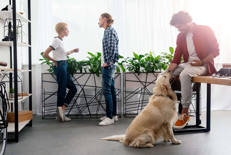 Spacestor | Universal Design - Designing for Pets in the Workplace