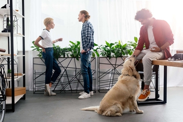 Spacestor | Universal Design - Designing for Pets in the Workplace