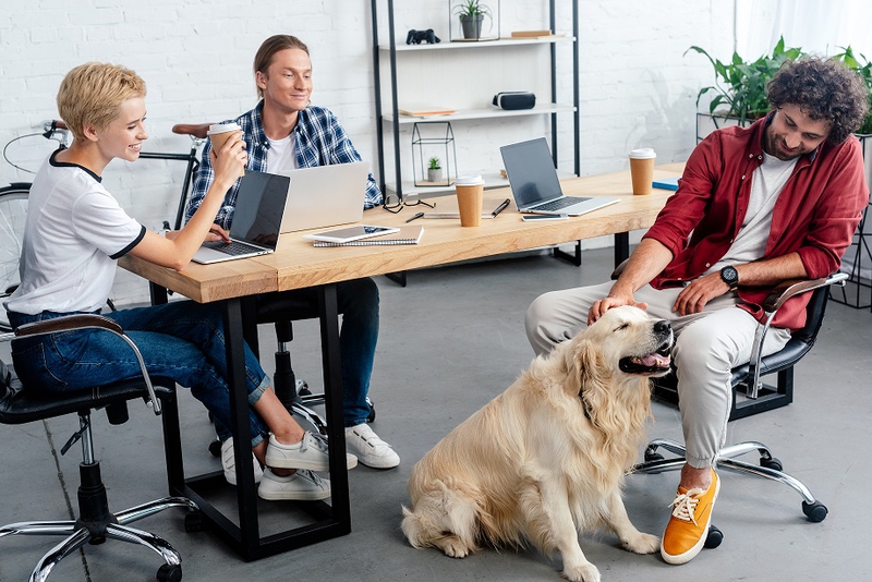 Spacestor | Universal Design - Designing for Pets in the Workplace
