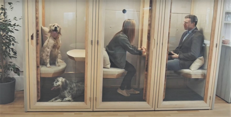 Spacestor | Universal Design - Designing for Pets in the Workplace